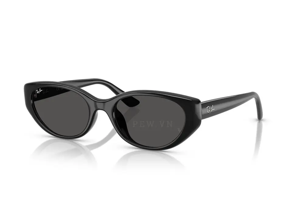 Ray-Ban RB4457D-6677/87(55)